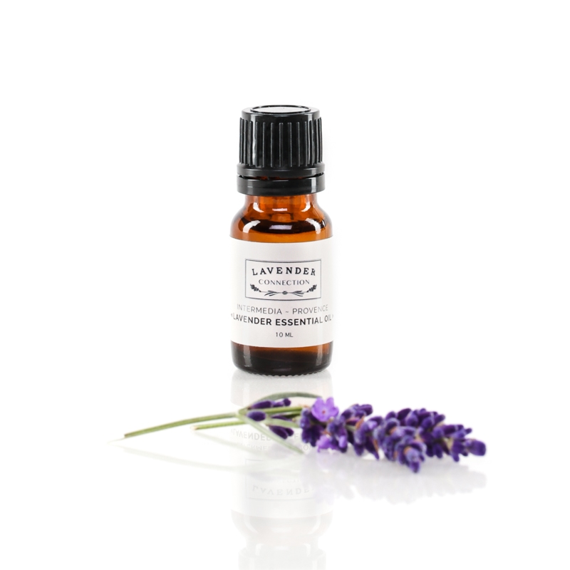 Lavender Essential Oil | Lavender Connection